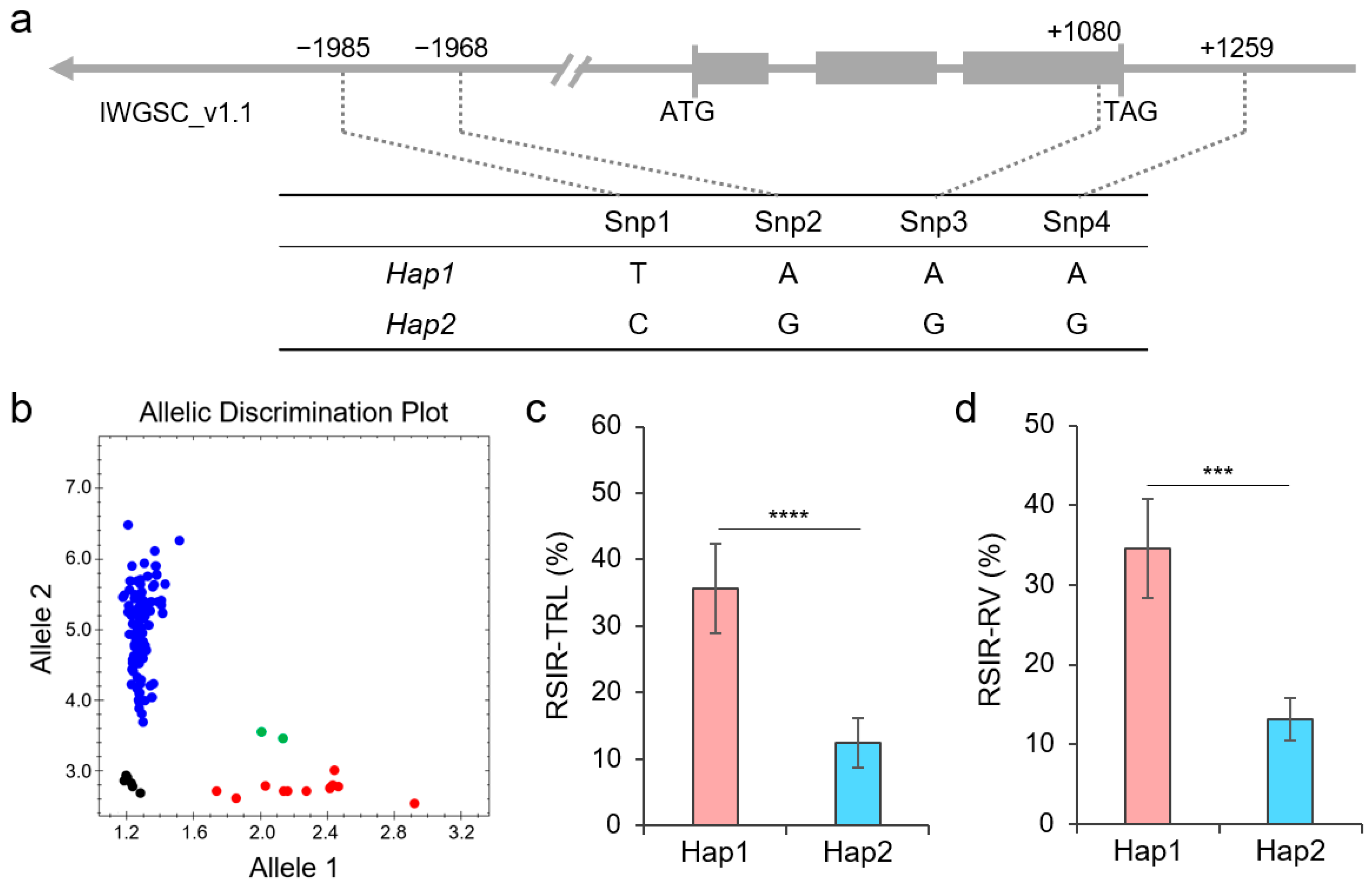Identification of Salt Tolerance-Related NAC Genes in Wheat Roots Based ...