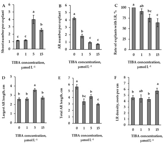Role of Plant Growth Regulators in Adventitious Populus Tremula Root ...