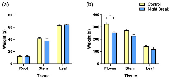 Examining the “Night Break” Method in Cannabis sativa Horticulture ...