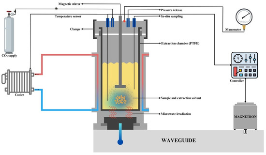 A Green and Innovative Waste Valorization Approach for Extraction of ...