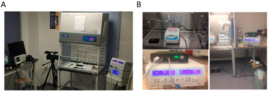 Plasma | Special Issue : Plasma Medicine