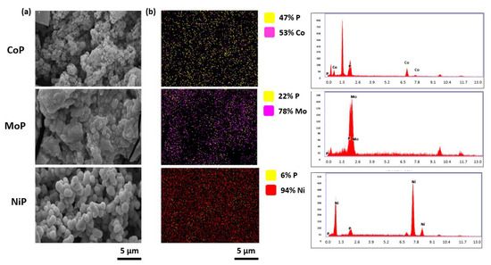 ElectroCatalytic Activity of Nickel Foam with Co, Mo, and Ni Phosphide ...