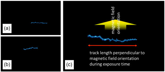 A Semi-Empirical Model of Cathodic Arc Spot Motion under the Influence ...