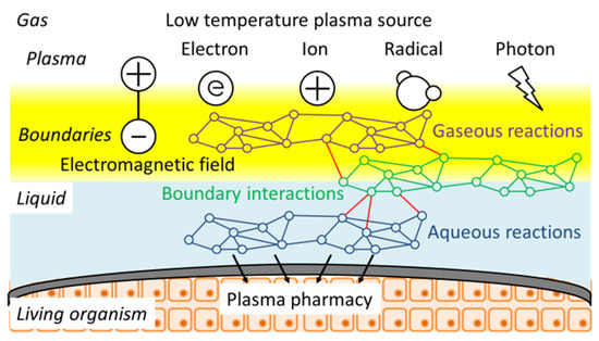 Plasma-Driven Sciences: Exploring Complex Interactions at Plasma Boundaries