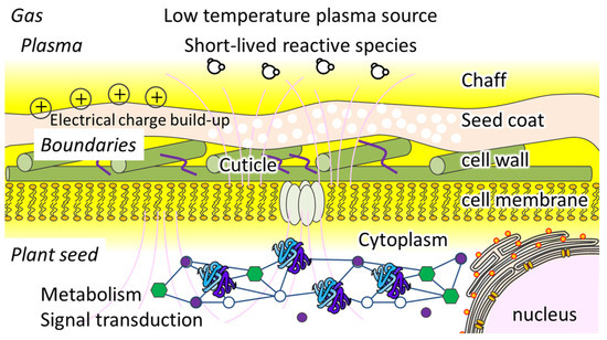 Plasma-Driven Sciences: Exploring Complex Interactions at Plasma Boundaries