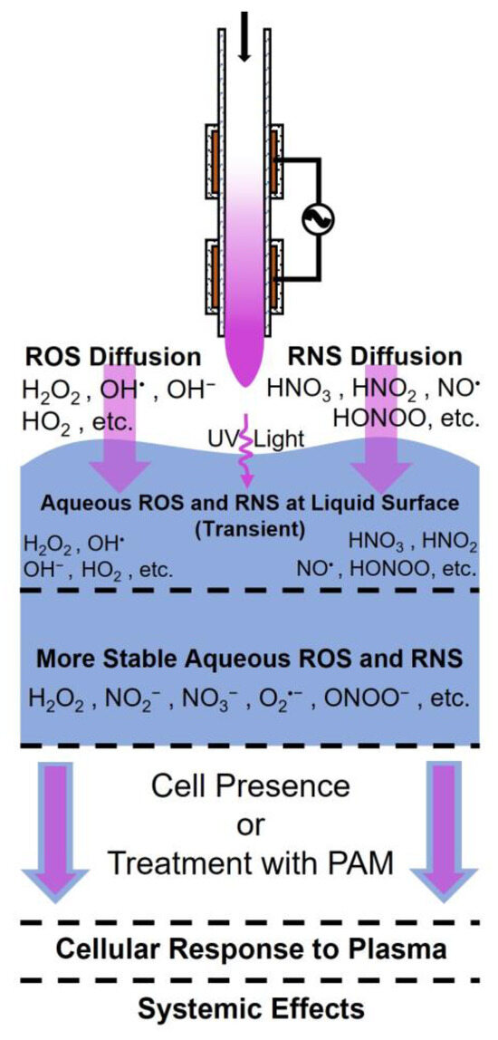 Cold Atmospheric Plasma Medicine: Applications, Challenges, and ...
