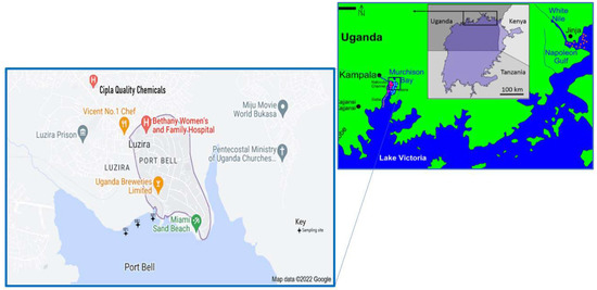 Heavy Metal Contamination of Sediments from an Exoreic African Great ...