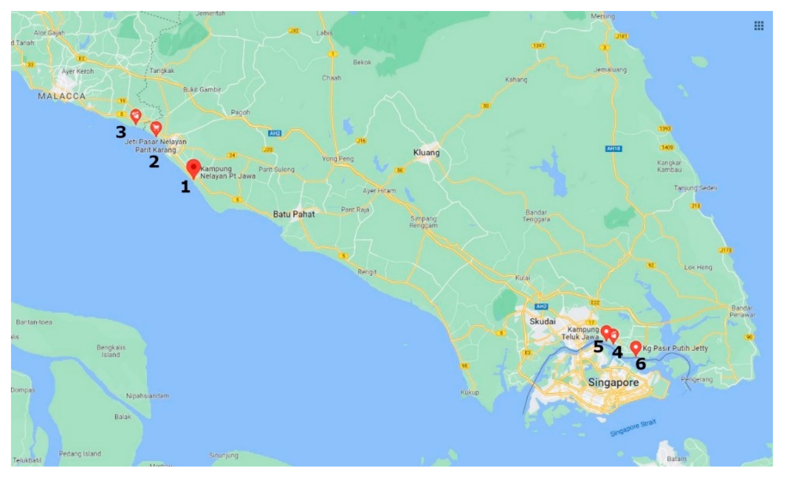 Shell Deformities in the Green-Lipped Mussel Perna viridis: Occurrence ...