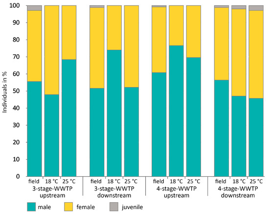 Heat Tolerance of Gammarus fossarum (Crustacea, Amphipoda) Is ...