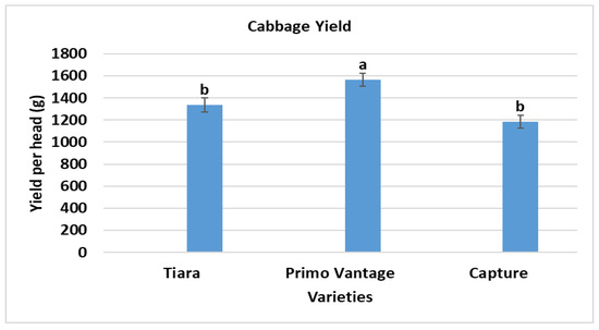 Assessing the Bioaccumulation of Heavy Metals in Cabbage Grown under ...