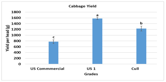 Assessing the Bioaccumulation of Heavy Metals in Cabbage Grown under ...
