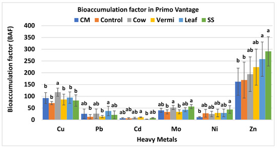 Assessing the Bioaccumulation of Heavy Metals in Cabbage Grown under ...