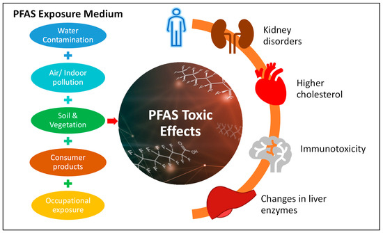 Overview of Per- and Polyfluoroalkyl Substances (PFAS), Their ...