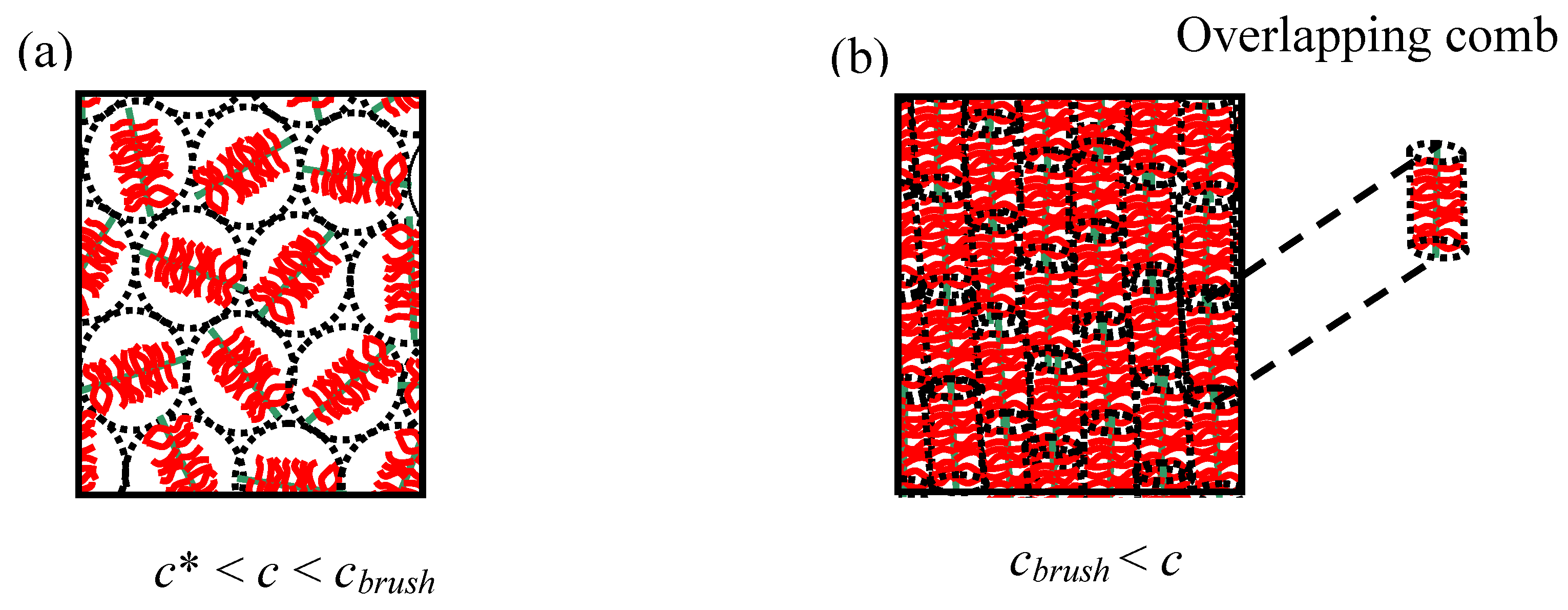 Polymers | Free Full-Text | Biological and Biomimetic Comb Polyelectrolytes