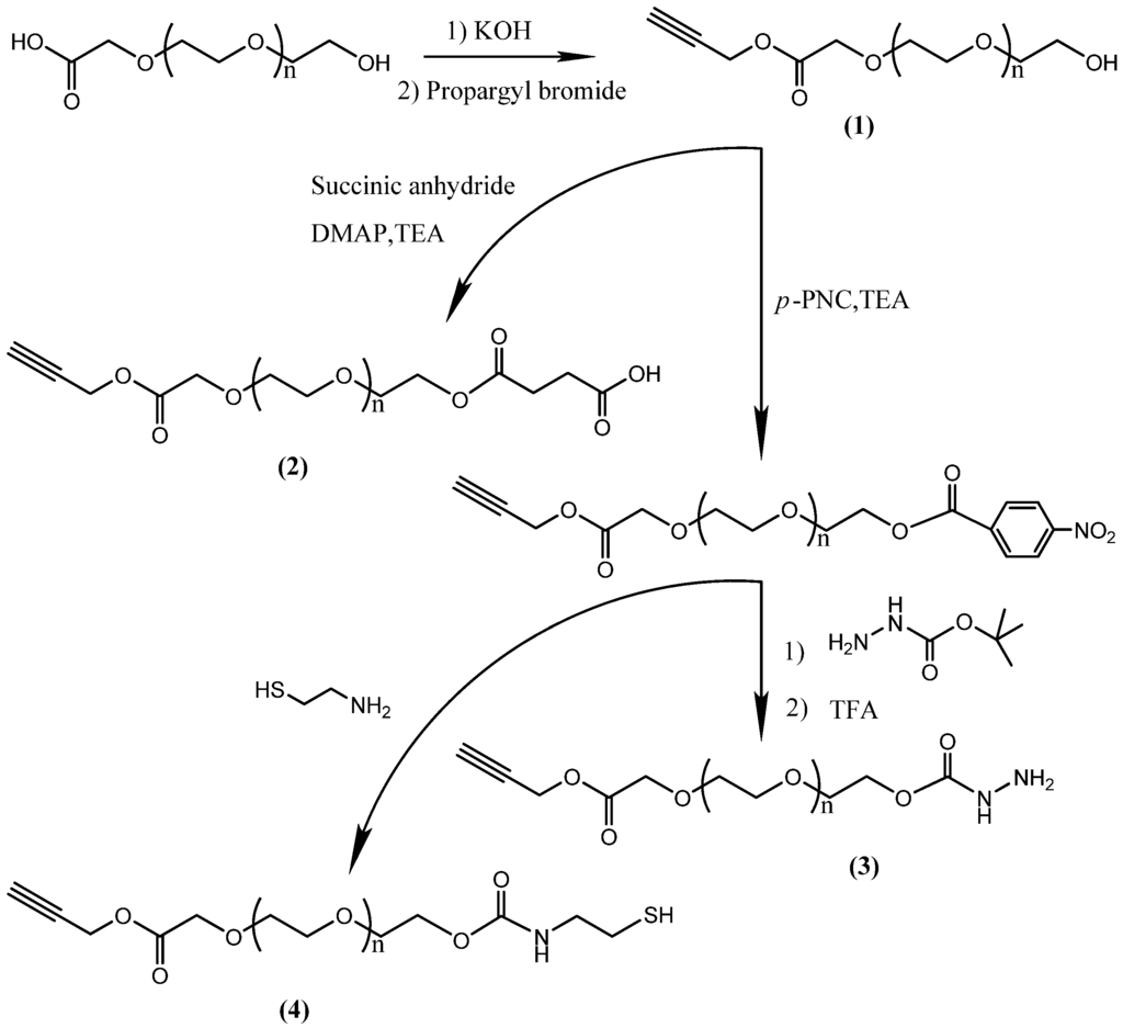 Synthesis of Propargyl-Terminated Heterobifunctional Poly(ethylene glycol)