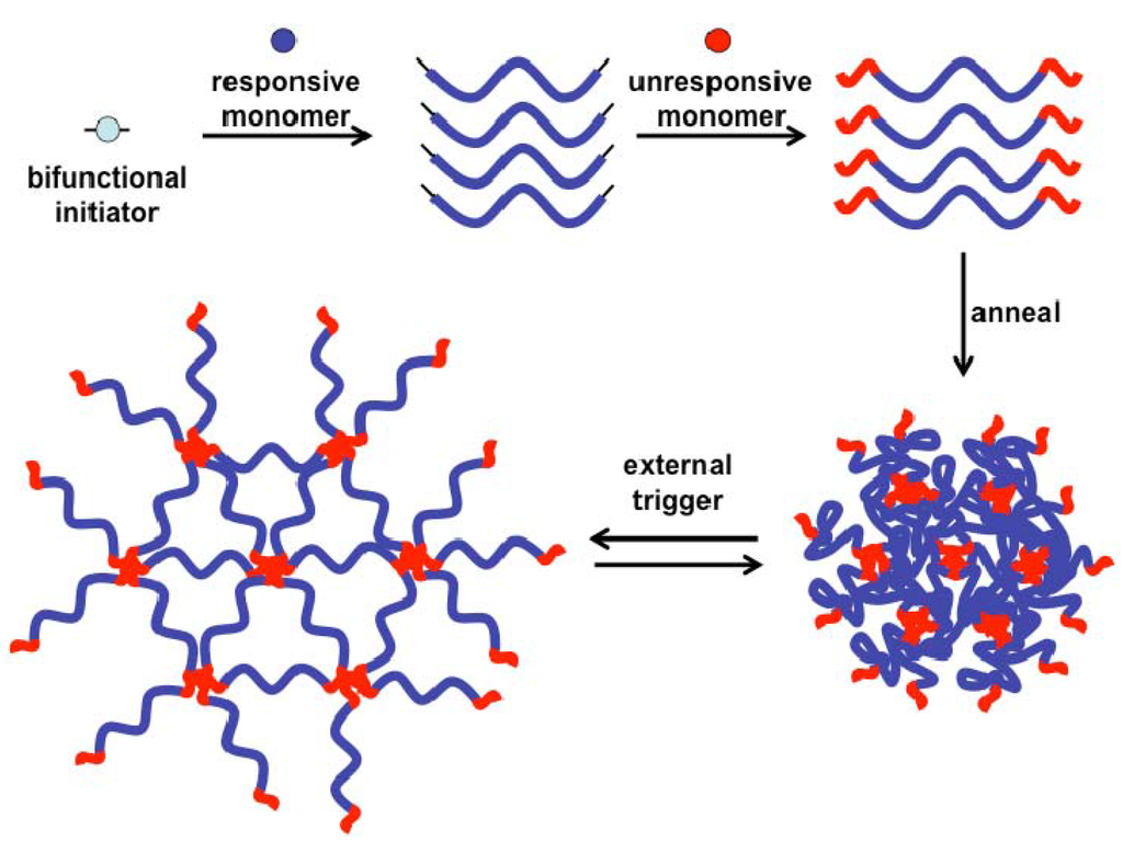 Polymers | Special Issue : Nano-Structures of Block Copolymers