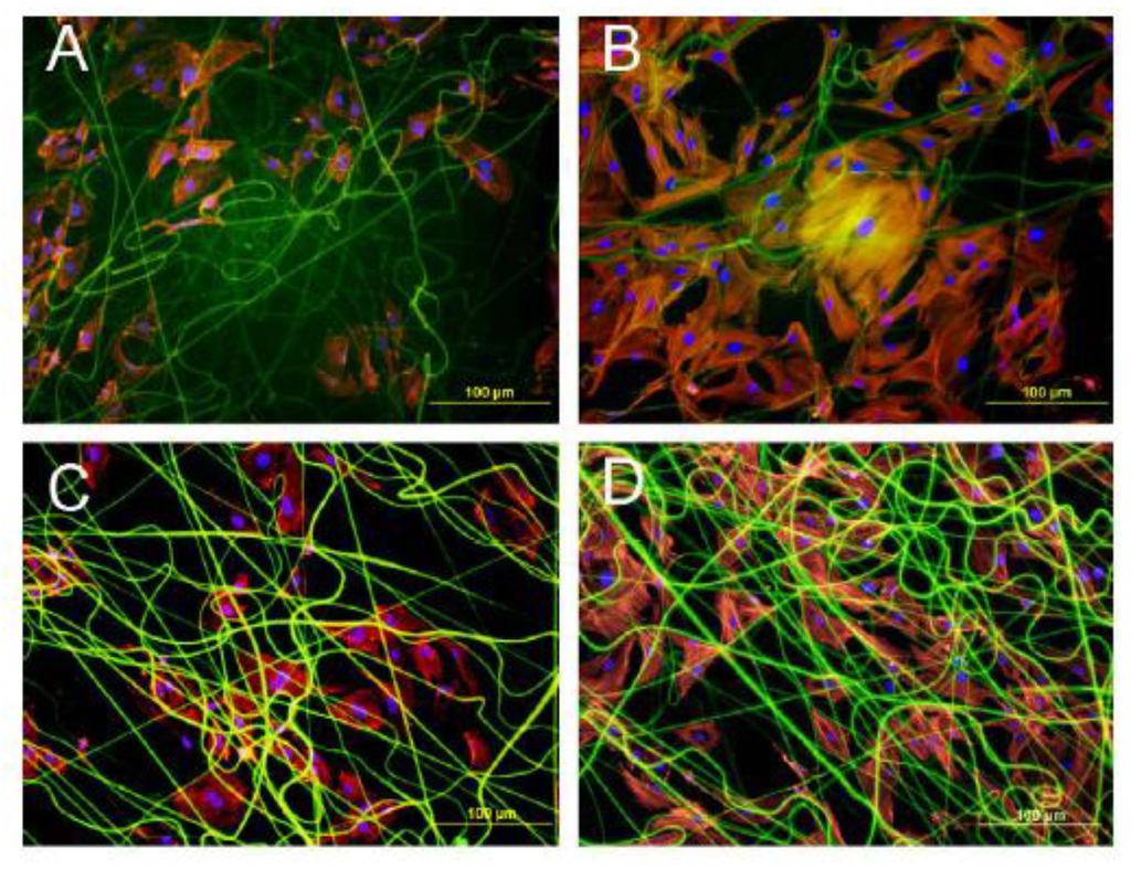 The Use of Natural Polymers in Tissue Engineering: A Focus on Electrospun Extracellular Matrix ...