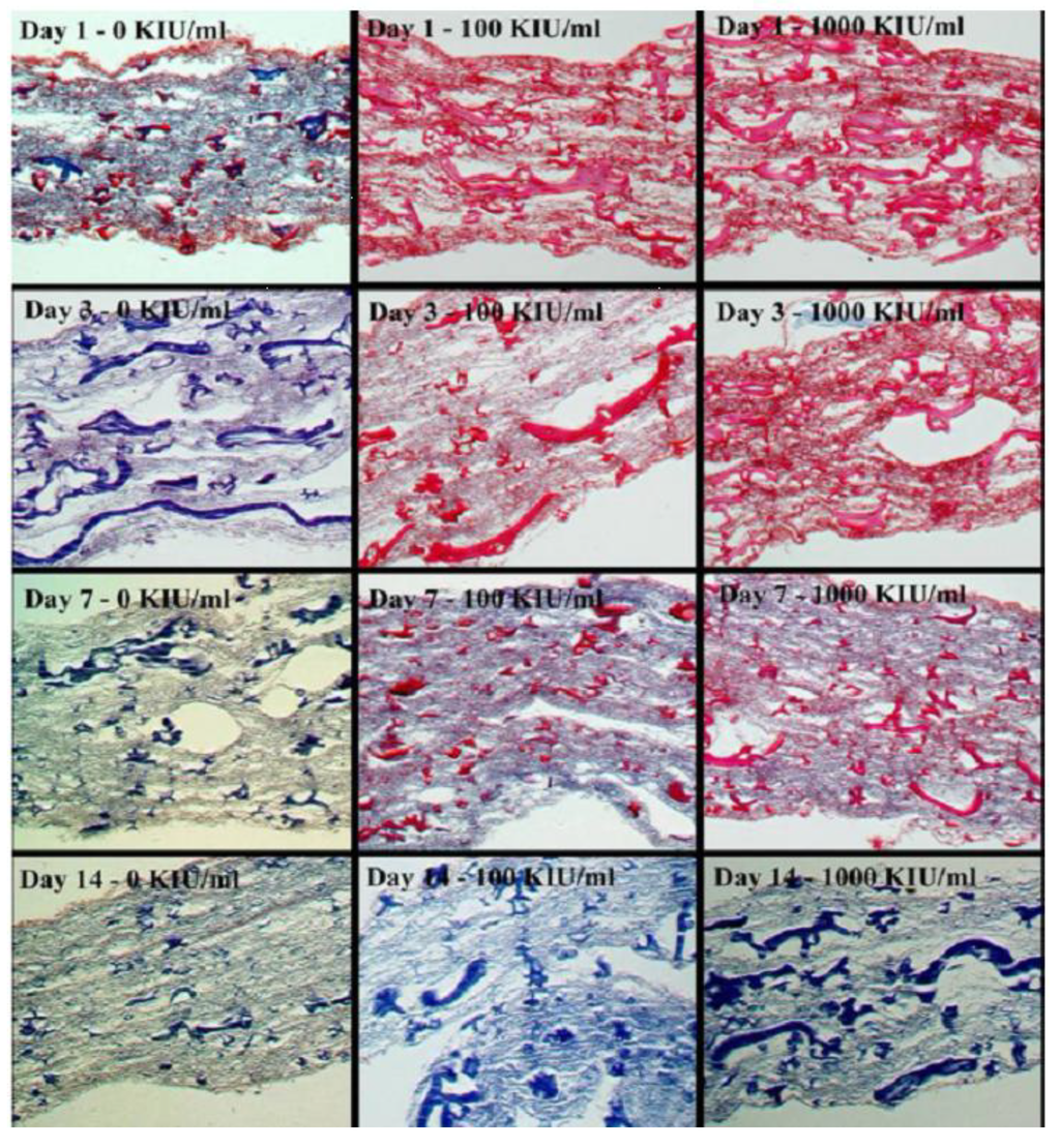 Polymers | Special Issue : Natural Polymers