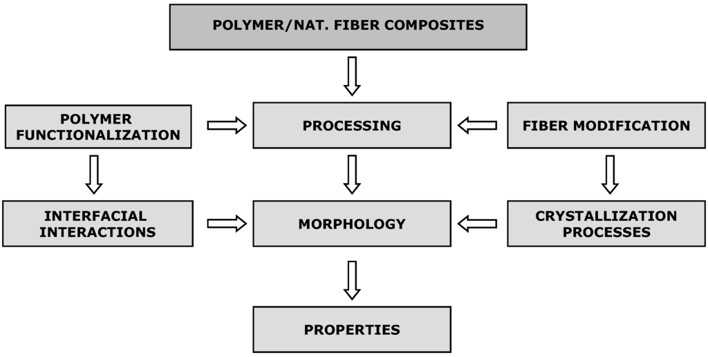 Functionalization, Compatibilization and Properties of Polyolefin ...