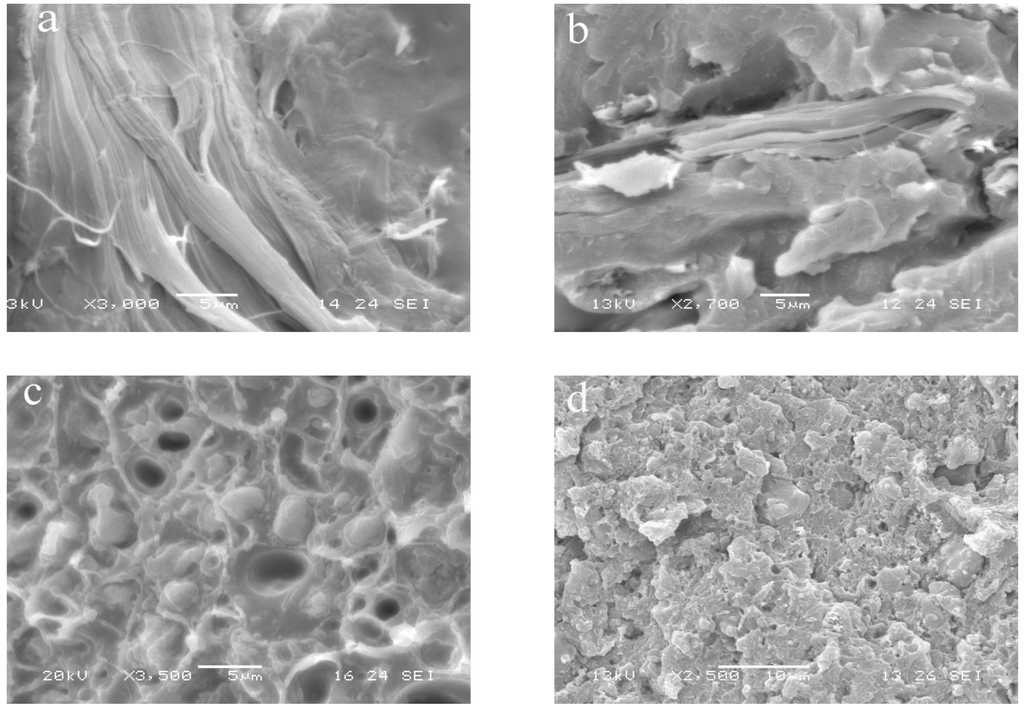 Polymers | Special Issue : Natural Polymers