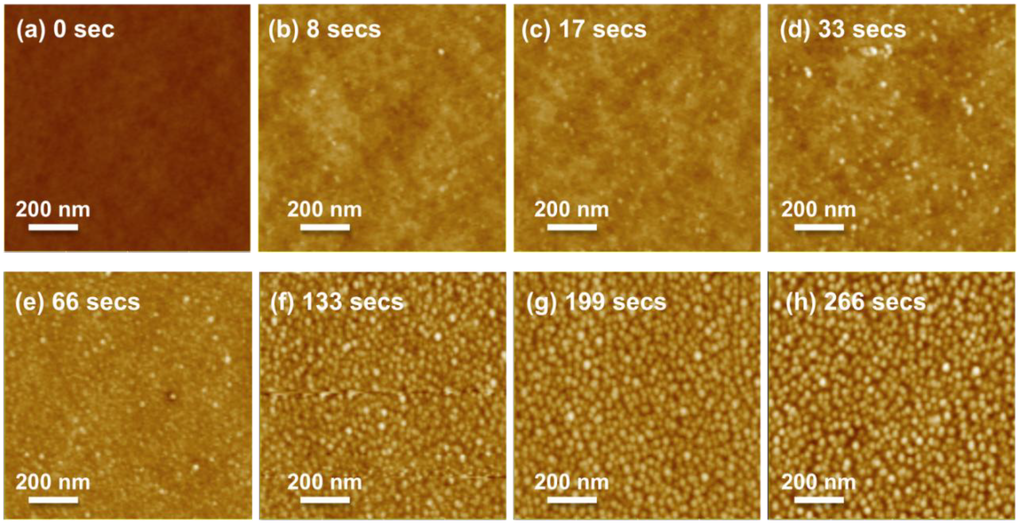Surface Roughening of Polystyrene and Poly(methyl methacrylate) in Ar ...