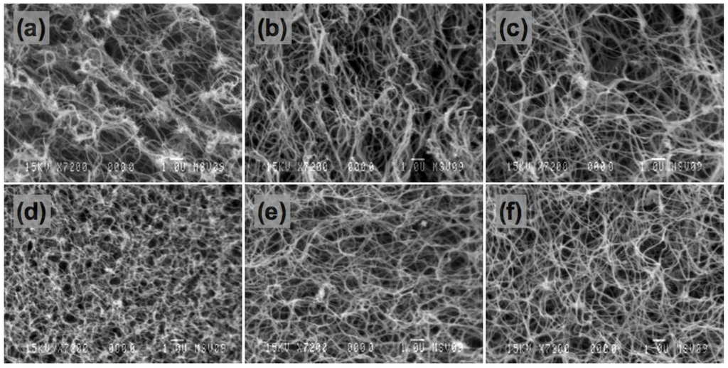 Polymers | Special Issue : Natural Polymers Polymers | Special Issue : Natural Polymers