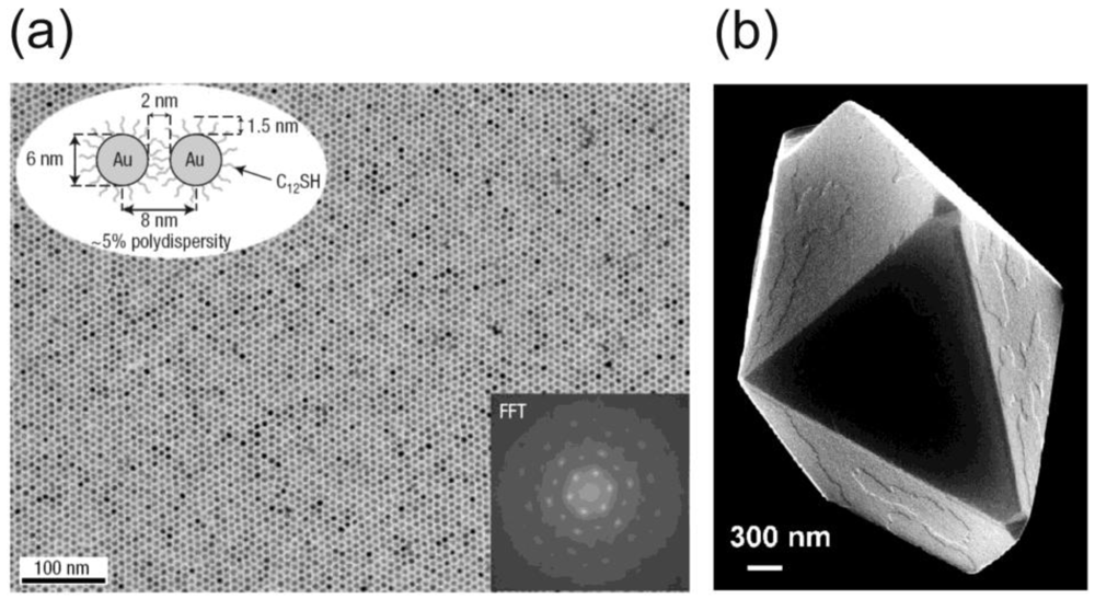 Routes to Nanoparticle-Polymer Superlattices