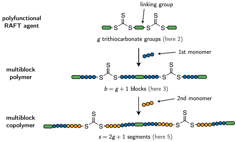 Multiblock Copolymers of Styrene and Butyl Acrylate via Polytrithiocarbonate-Mediated RAFT ...