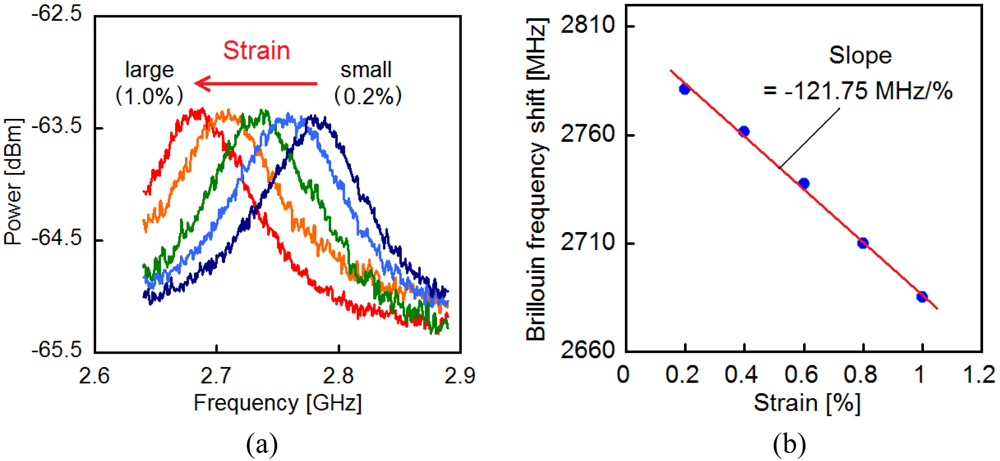 Brillouin Scattering in Polymer Optical Fibers: Fundamental Properties ...