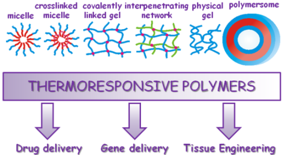 Polymers | Free Full-Text | Thermoresponsive Polymers for Biomedical ...