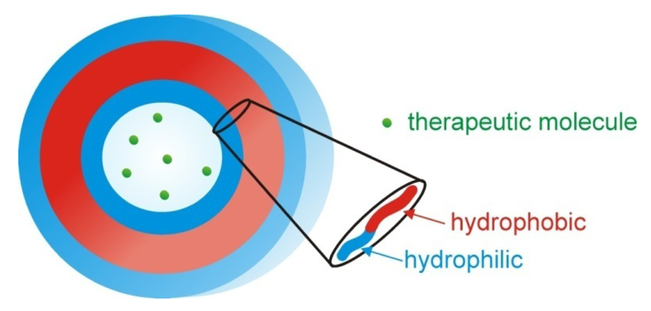 Thermoresponsive Polymers for Biomedical Applications