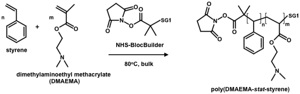 Synthesis of Stimuli-responsive, Water-soluble Poly[2-(dimethylamino ...