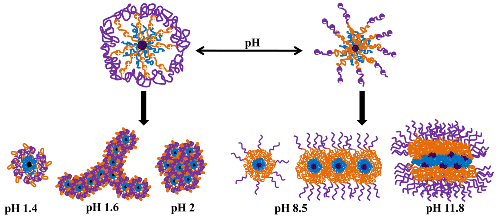 Polymers | Special Issue : Water-Soluble Polymers