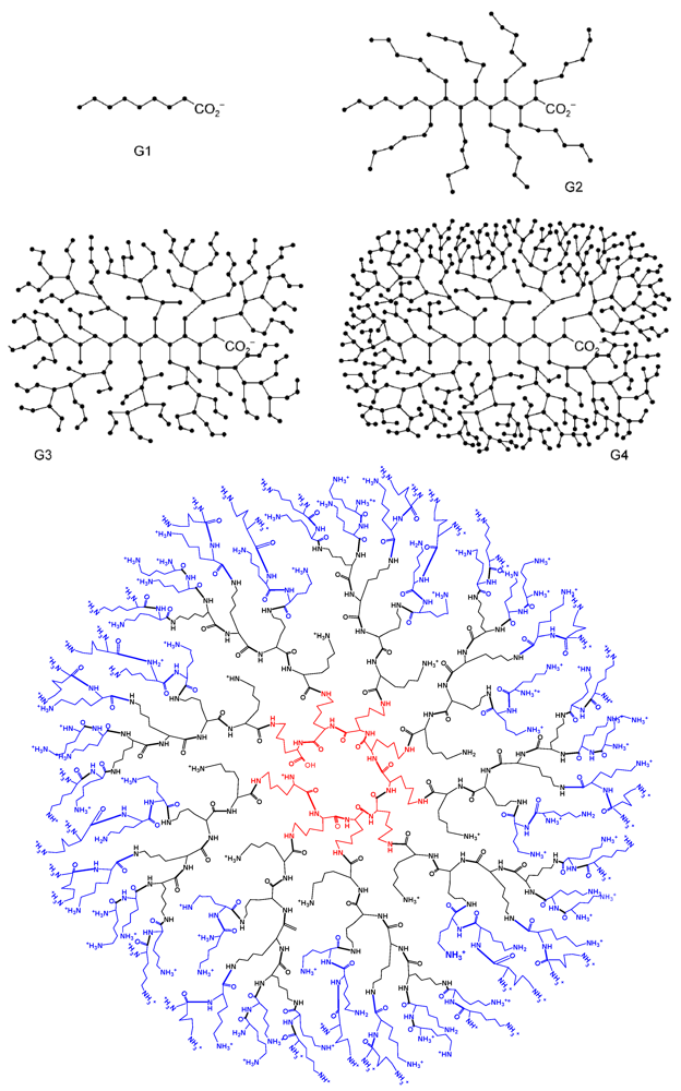 Polymers | Special Issue : Dendrimers and Hyperbranched Polymers