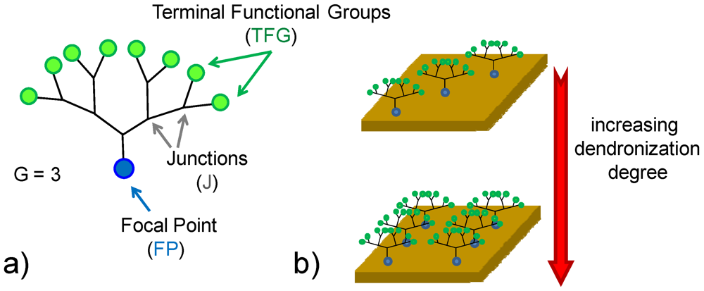 Dendronization: A Useful Synthetic Strategy to Prepare Multifunctional ...