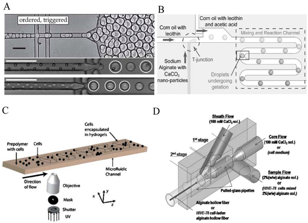 Polymers | Special Issue : Microfluidic-Assisted Synthesis and ...