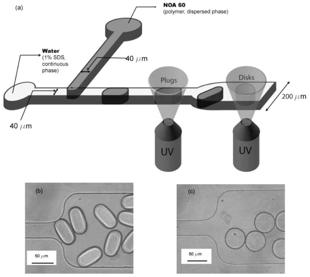 Polymers | Special Issue : Microfluidic-Assisted Synthesis and ...