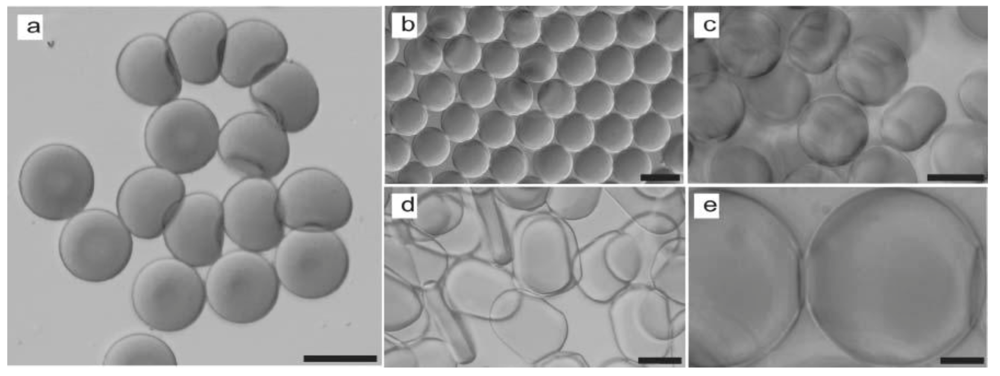 Polymers | Free Full-Text | Microfluidics-Nano-Integration for Synthesis and Sensing