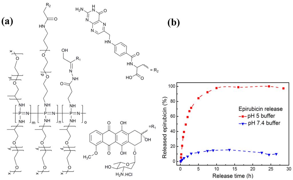Polyphosphazenes: Multifunctional, Biodegradable Vehicles for Drug and ...
