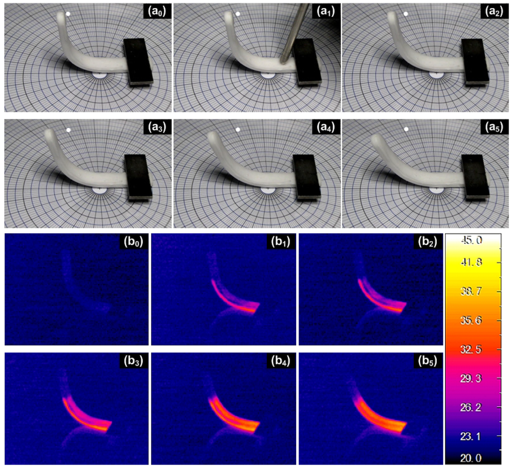Mechanisms of the Shape Memory Effect in Polymeric Materials
