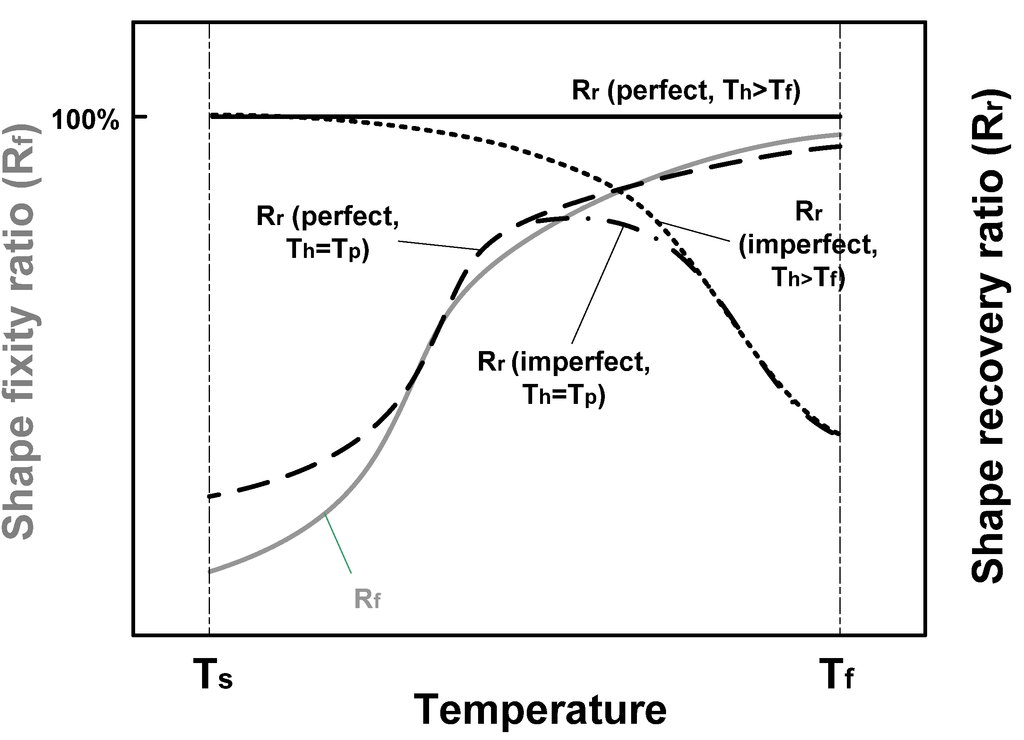 Mechanisms of the Shape Memory Effect in Polymeric Materials