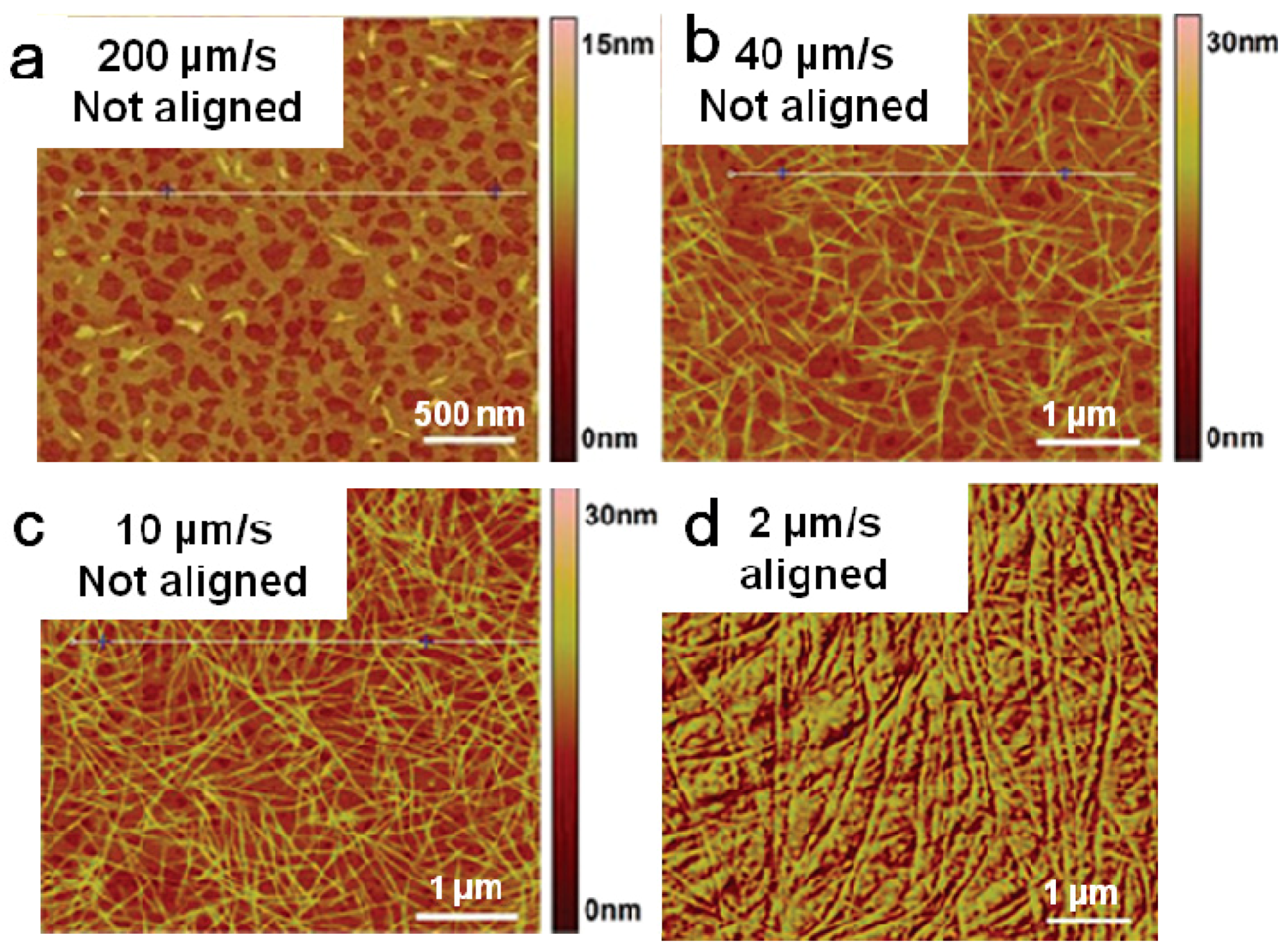 Structure and Morphology Control in Thin Films of Conjugated Polymers ...