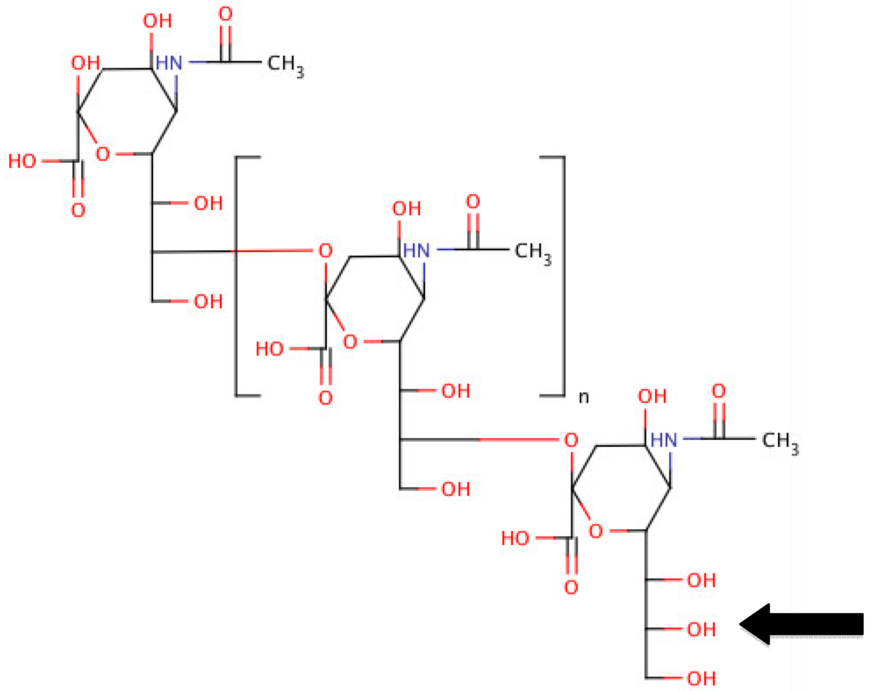 Polymers for Protein Conjugation