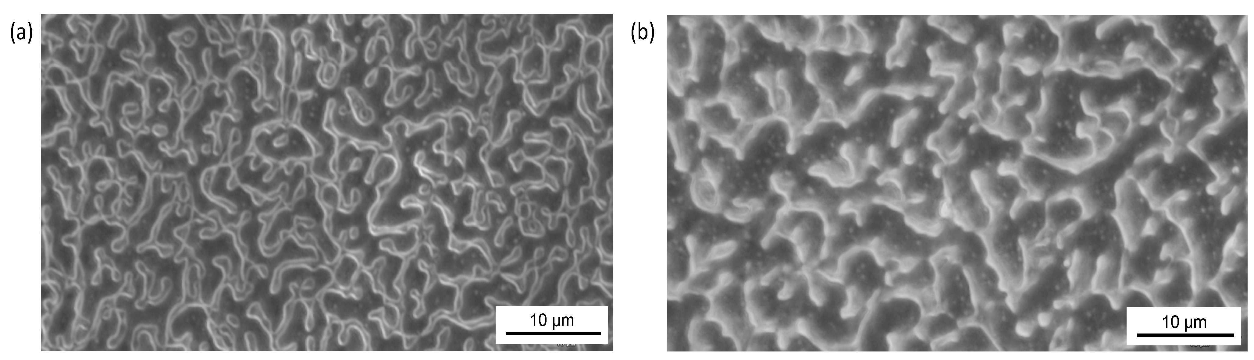 Morphologies and Thermal Variability of Patterned Polymer Films with ...