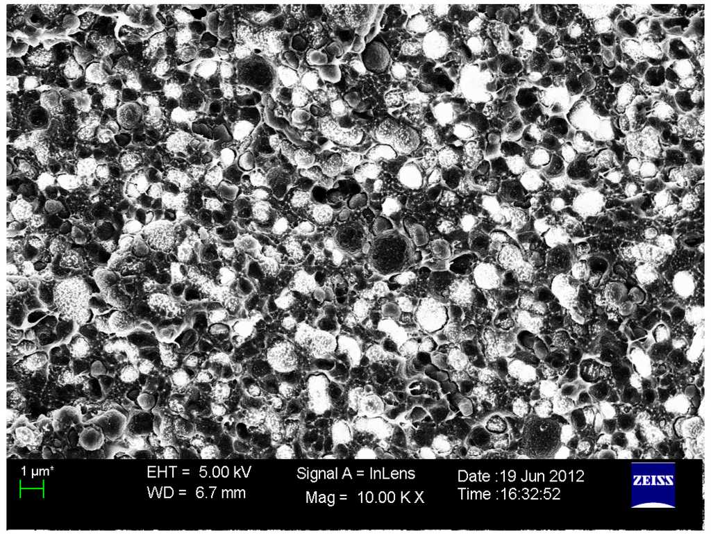 Sulfonation Process and Desalination Effect of Polystyrene/PVDF Semi ...