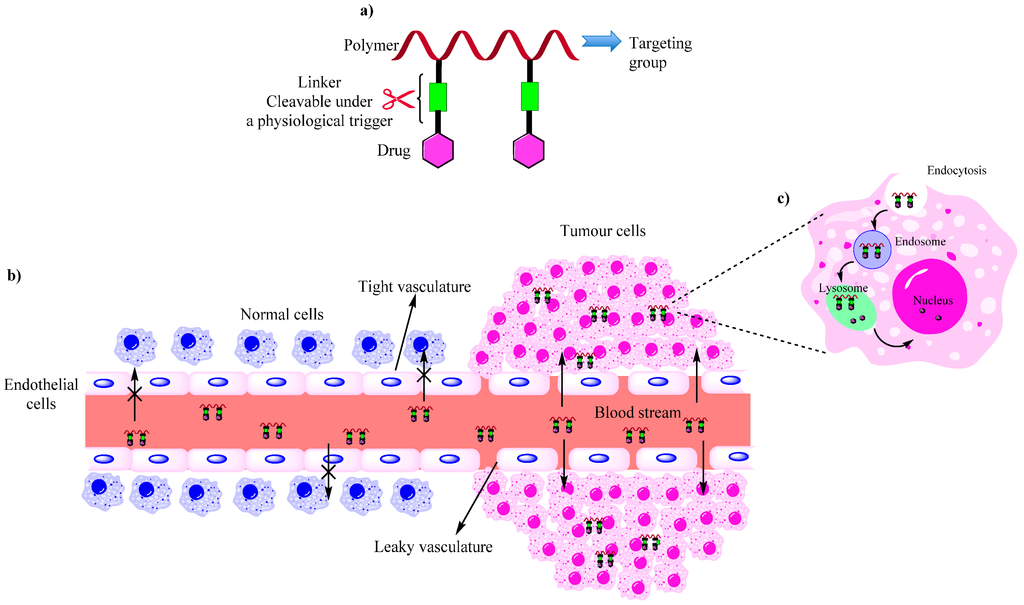 Impact of the Enhanced Permeability and Retention (EPR) Effect and ...