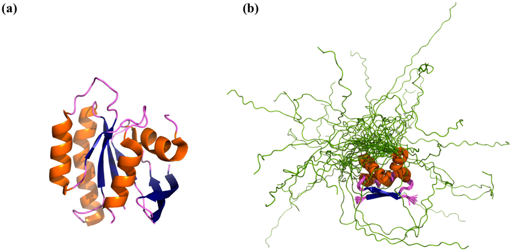 Intrinsically Disordered Proteins: Where Computation Meets Experiment