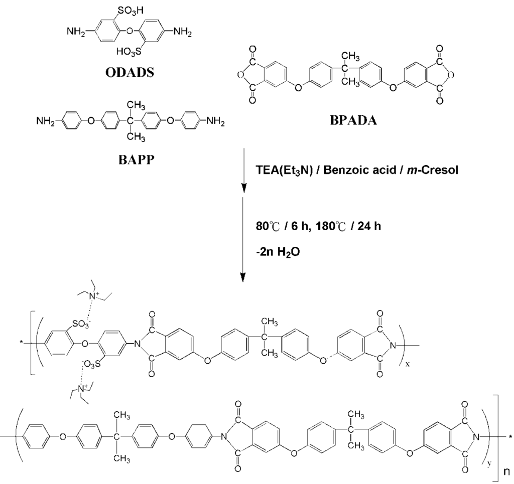 Improving the Conductivity of Sulfonated Polyimides as Proton Exchange ...