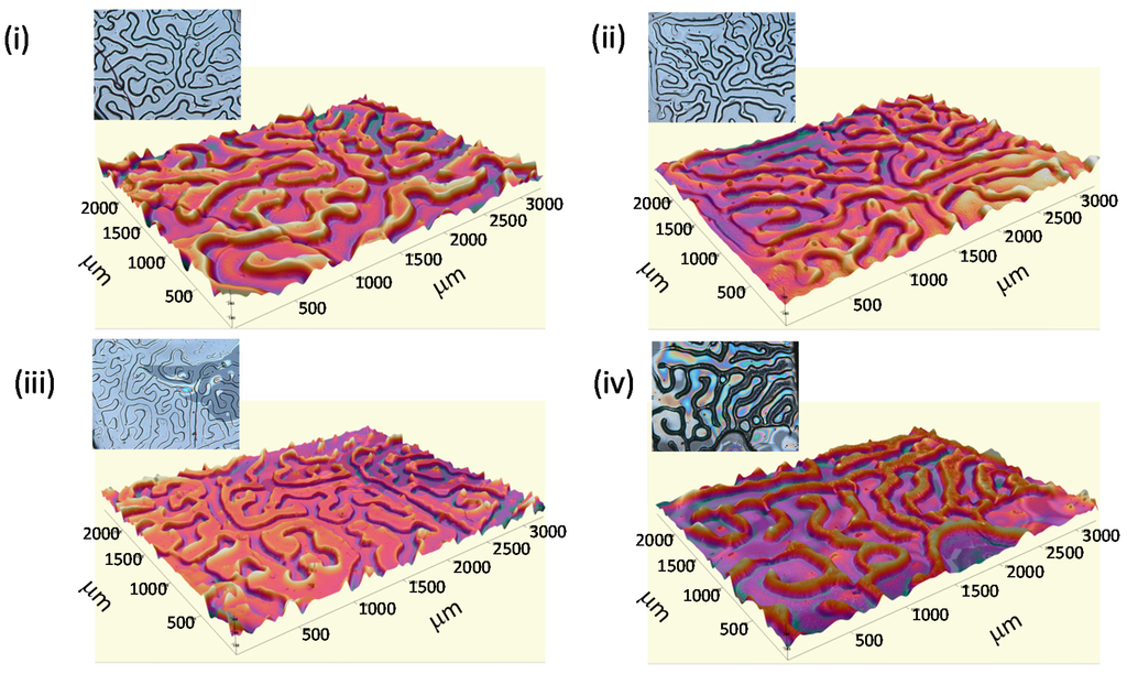 Fabrication of Functional Wrinkled Interfaces from Polymer Blends: Role ...