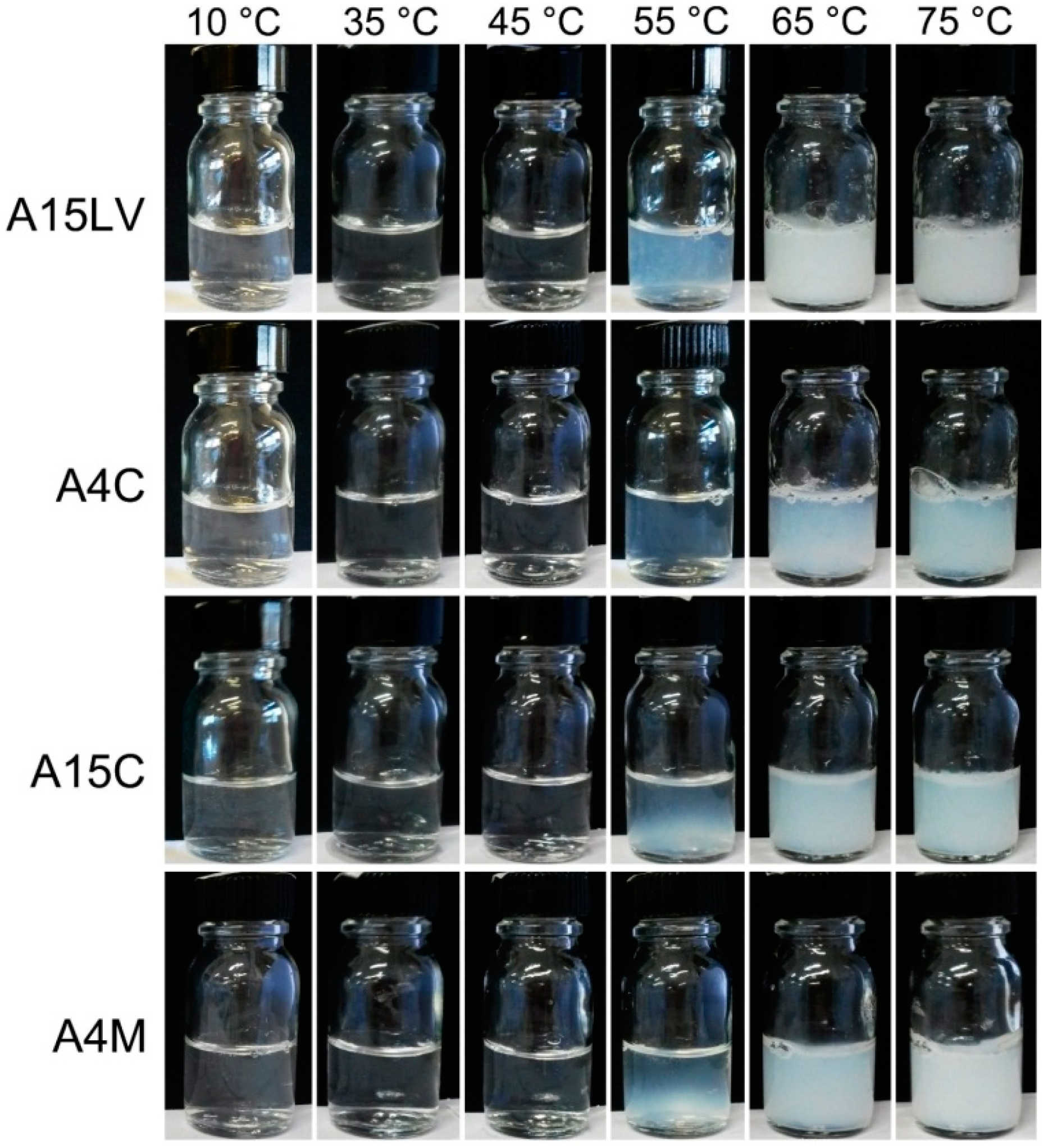 Methylcellulose, a Cellulose Derivative with Original Physical ...